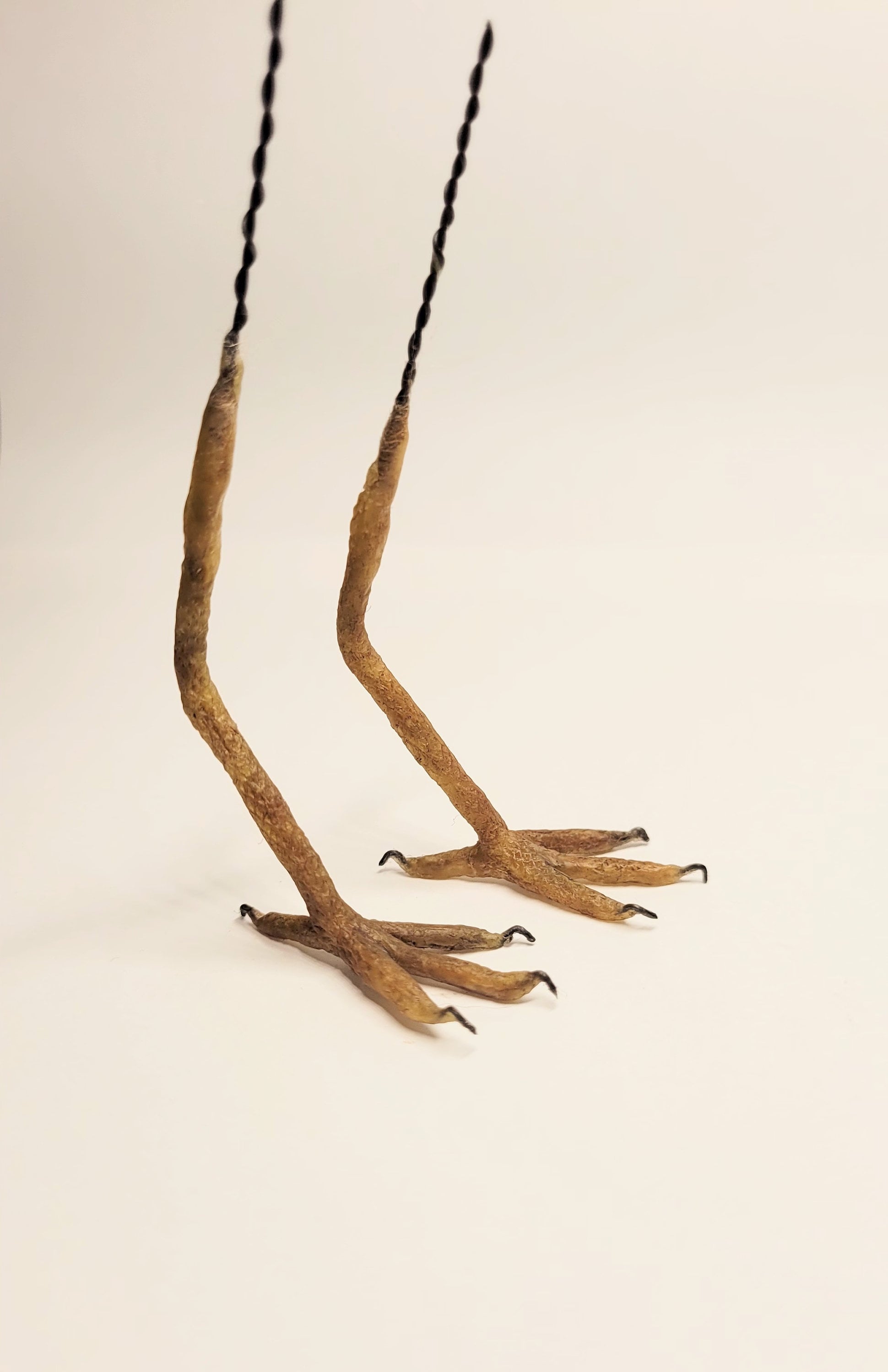 Handmade Bird Legs: Wire Armature, Wool & Wax - Needle Felting Supplies ...
