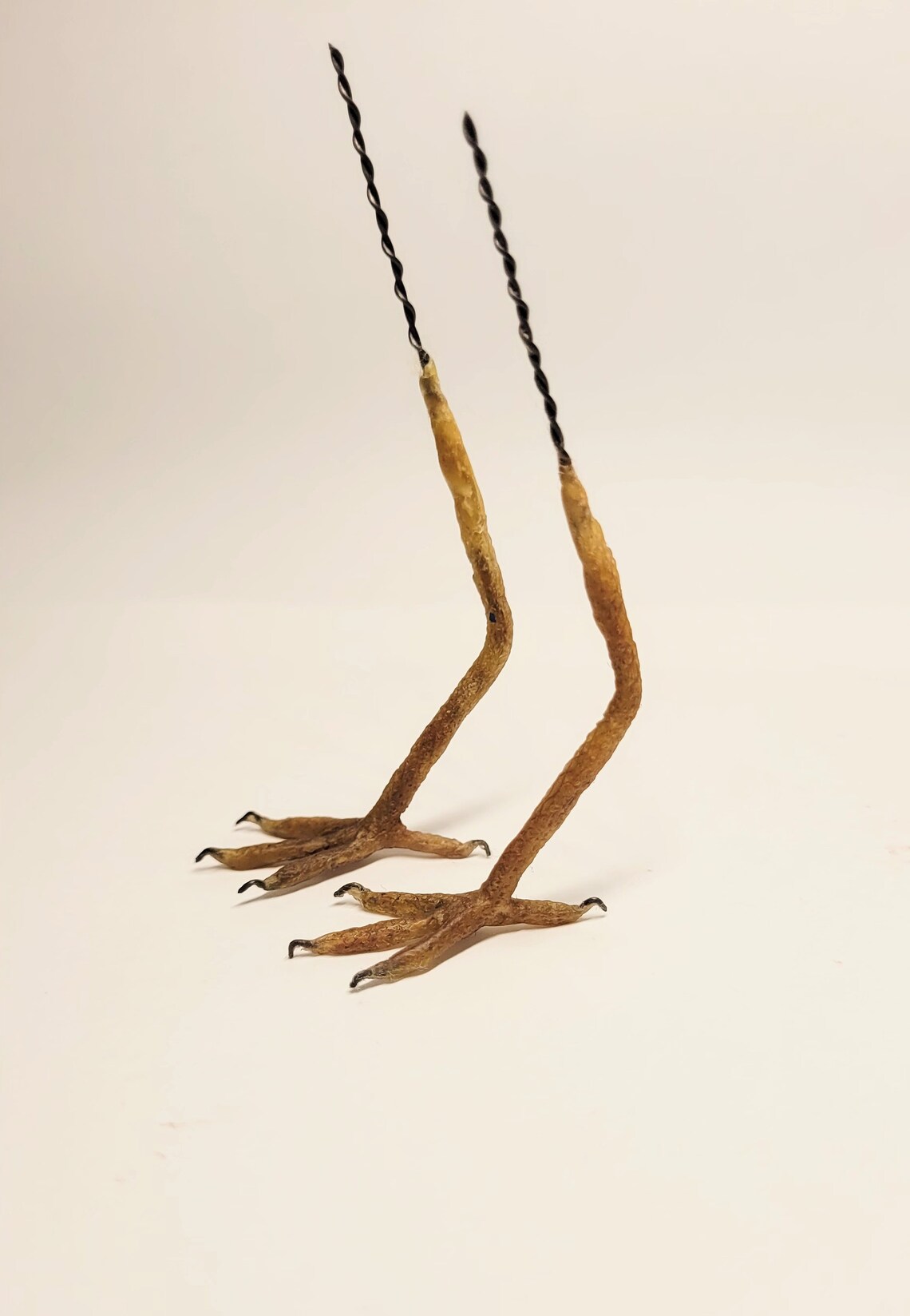 Handmade Bird Legs: Wire Armature, Wool & Wax - Needle Felting Supplies ...