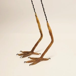 Birds Legs,craft Legs,small Birds Feet,handmade Legs for Needle Felted ...