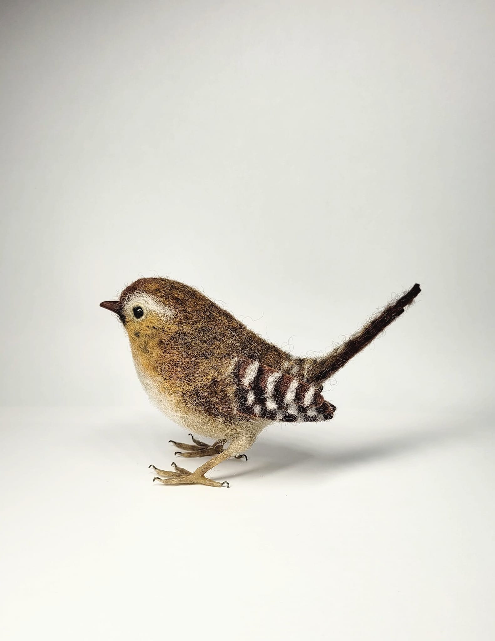 Needle Felted Wren Kit, Handmade Bird, DIY Craft With Bonus Nest - Etsy