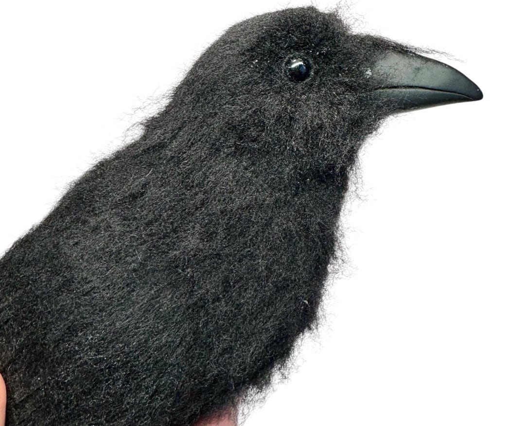 Crow Beaks,polymer Clay Beaks,large Beaks - Etsy