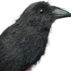 Crow Beaks,polymer Clay Beaks,large Beaks - Etsy