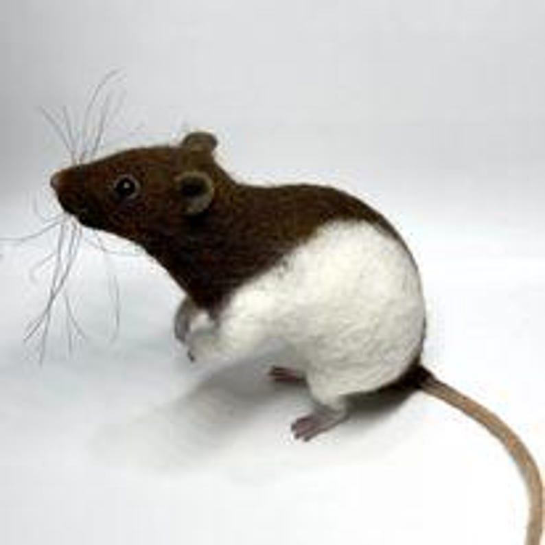 KIT for Needle Felted Rat - Etsy UK