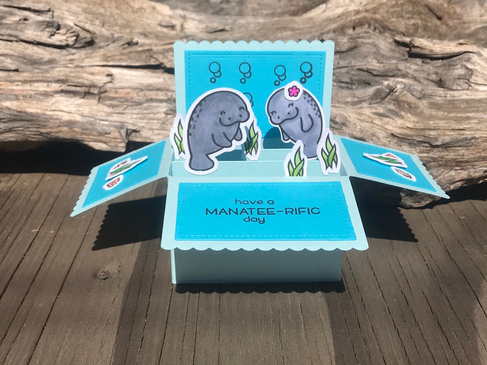 Manatee Card in a Box, Manatee Pop up Card Box, Birthday Card, Card Pop ...