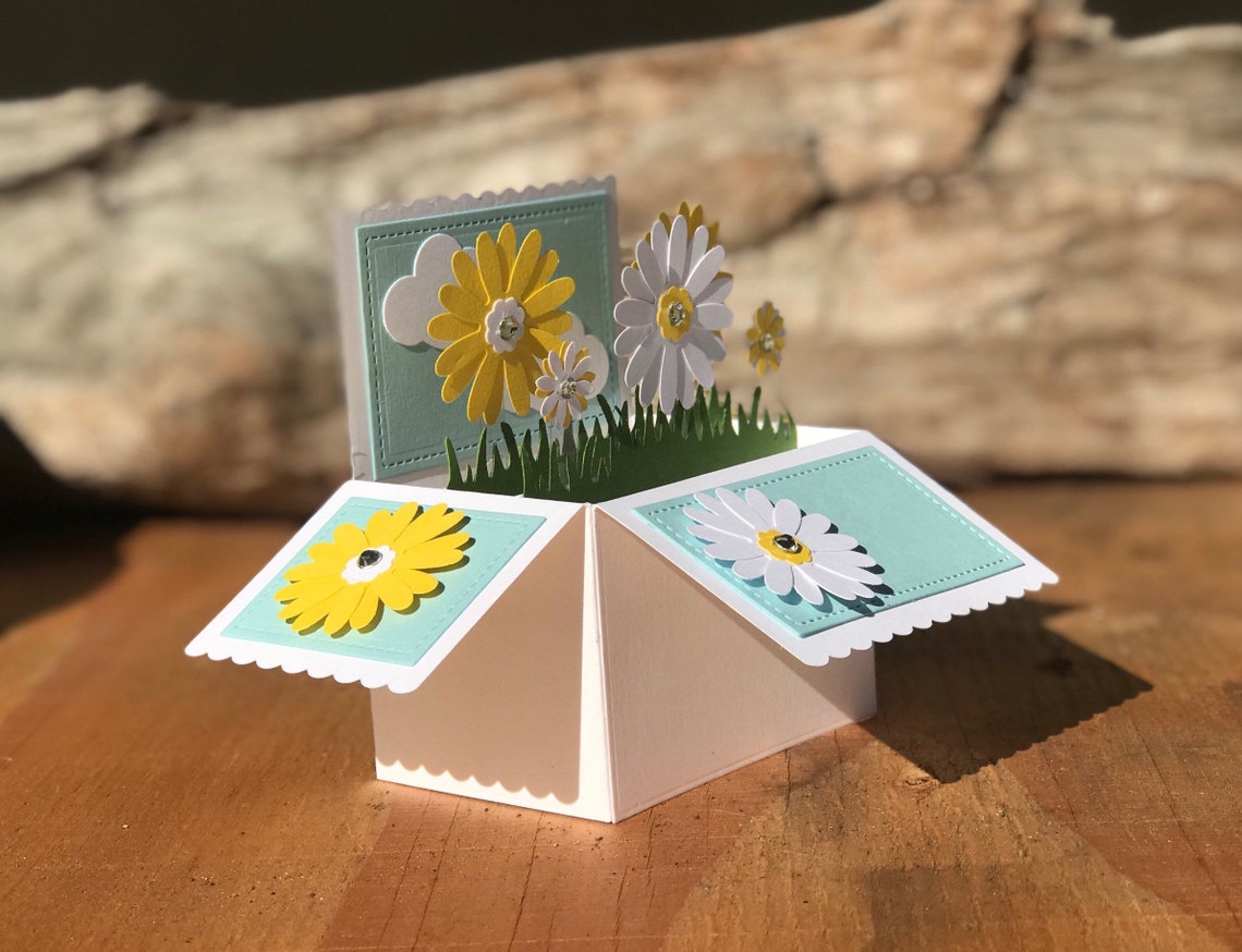 Daisy Card in a Box Pop up Card Box Flower Card Daisy Pop | Etsy