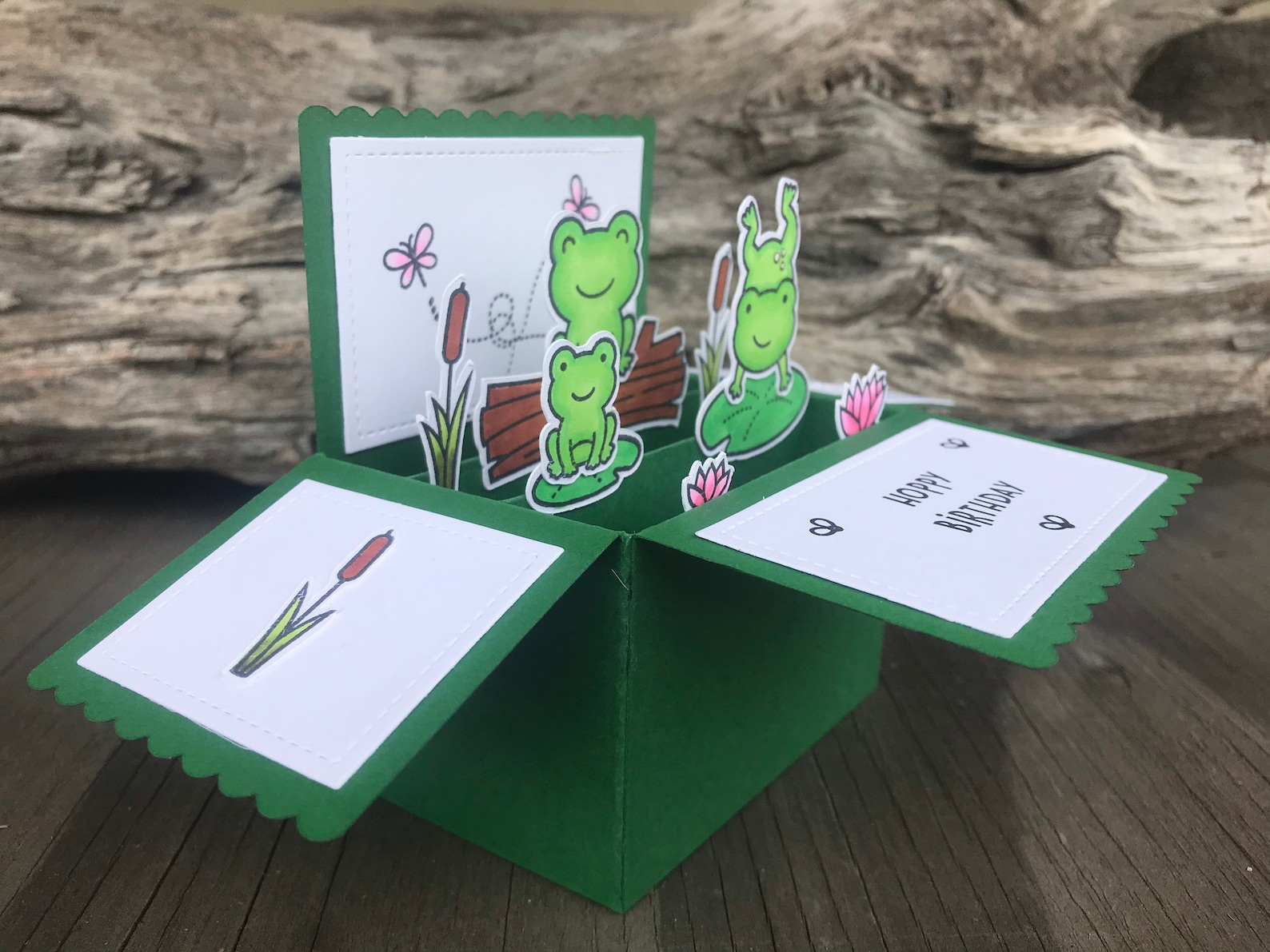 Toad Frog Card in a Box Toads Pop up Card Box Birthday Card - Etsy