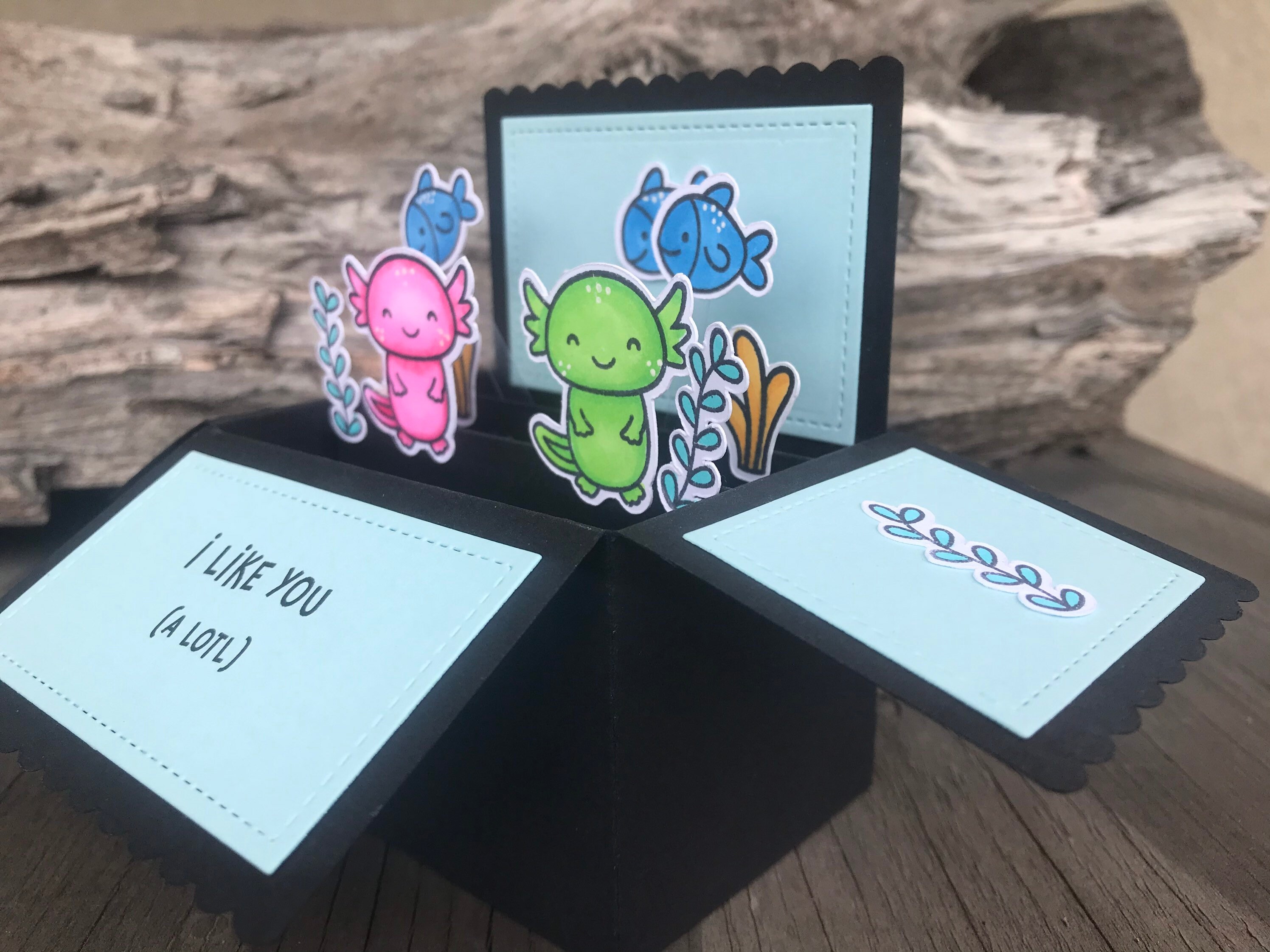 Buy Axolotl Card in a Box Axolotl Pop up Card Box Birthday Card Online ...