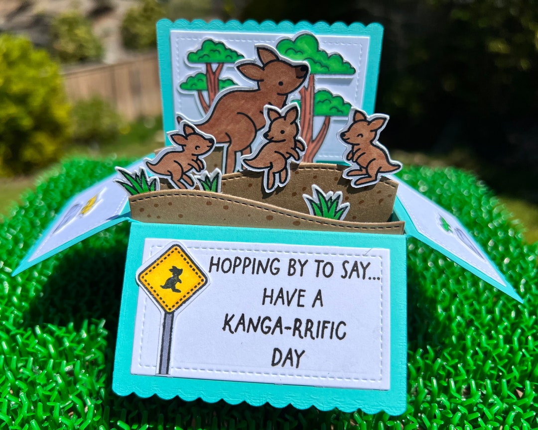 Kangaroo Card, Pop up Card, Card in a Box, Handmade Cards, Bee Card in ...