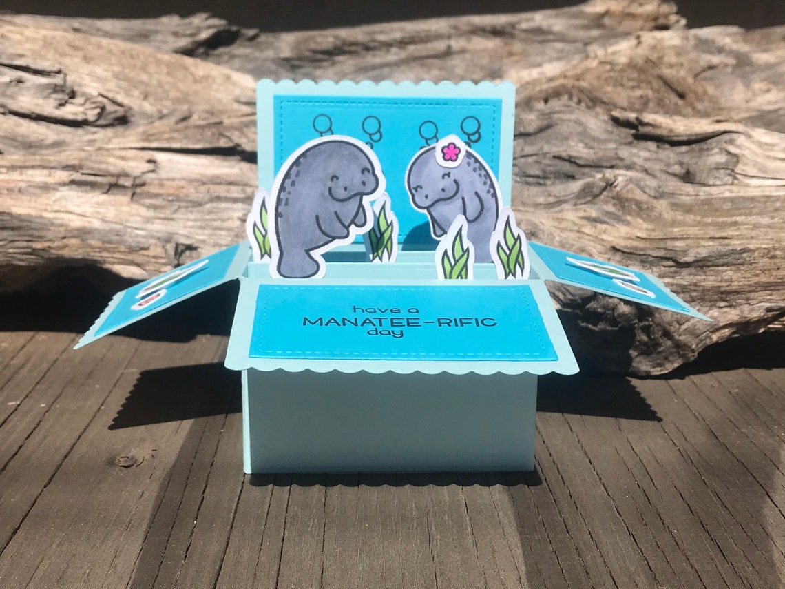 Manatee card in a box manatee pop up card box birthday card | Etsy