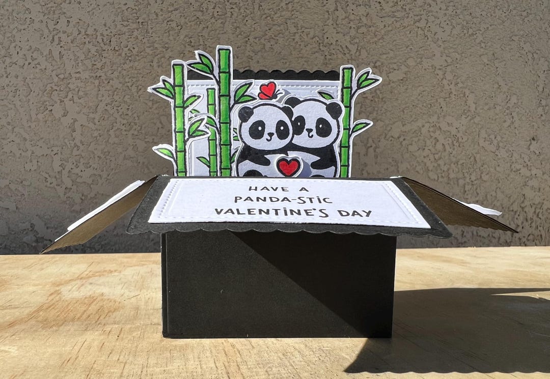 Panda Card in a Box, Panda Pop up Card Box, Birthday Card, Card Pop up ...