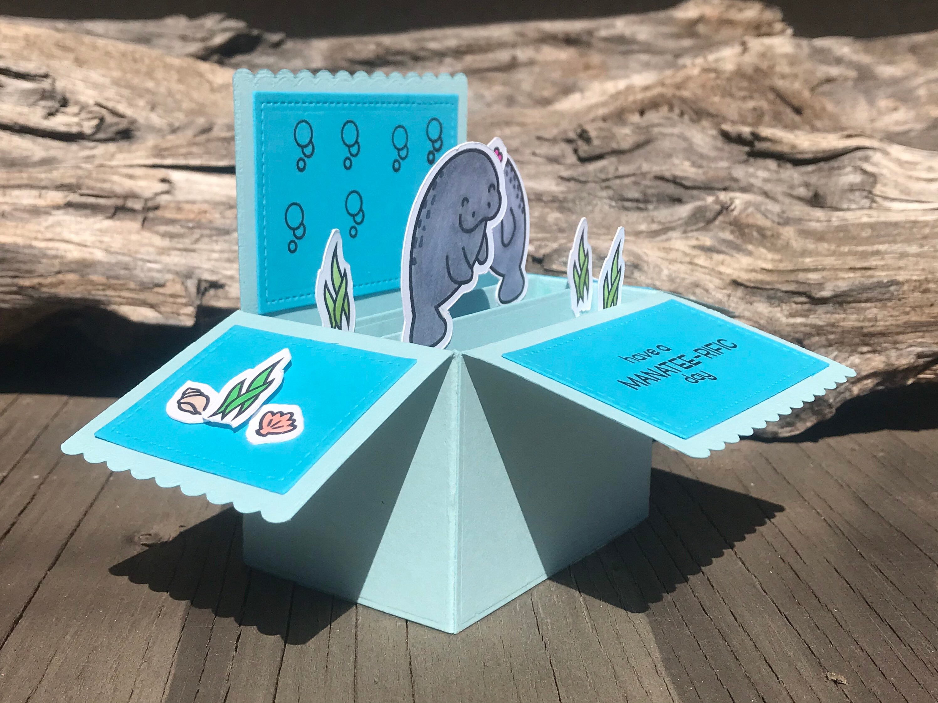 Manatee Card in a Box Manatee Pop up Card Box Birthday Card - Etsy