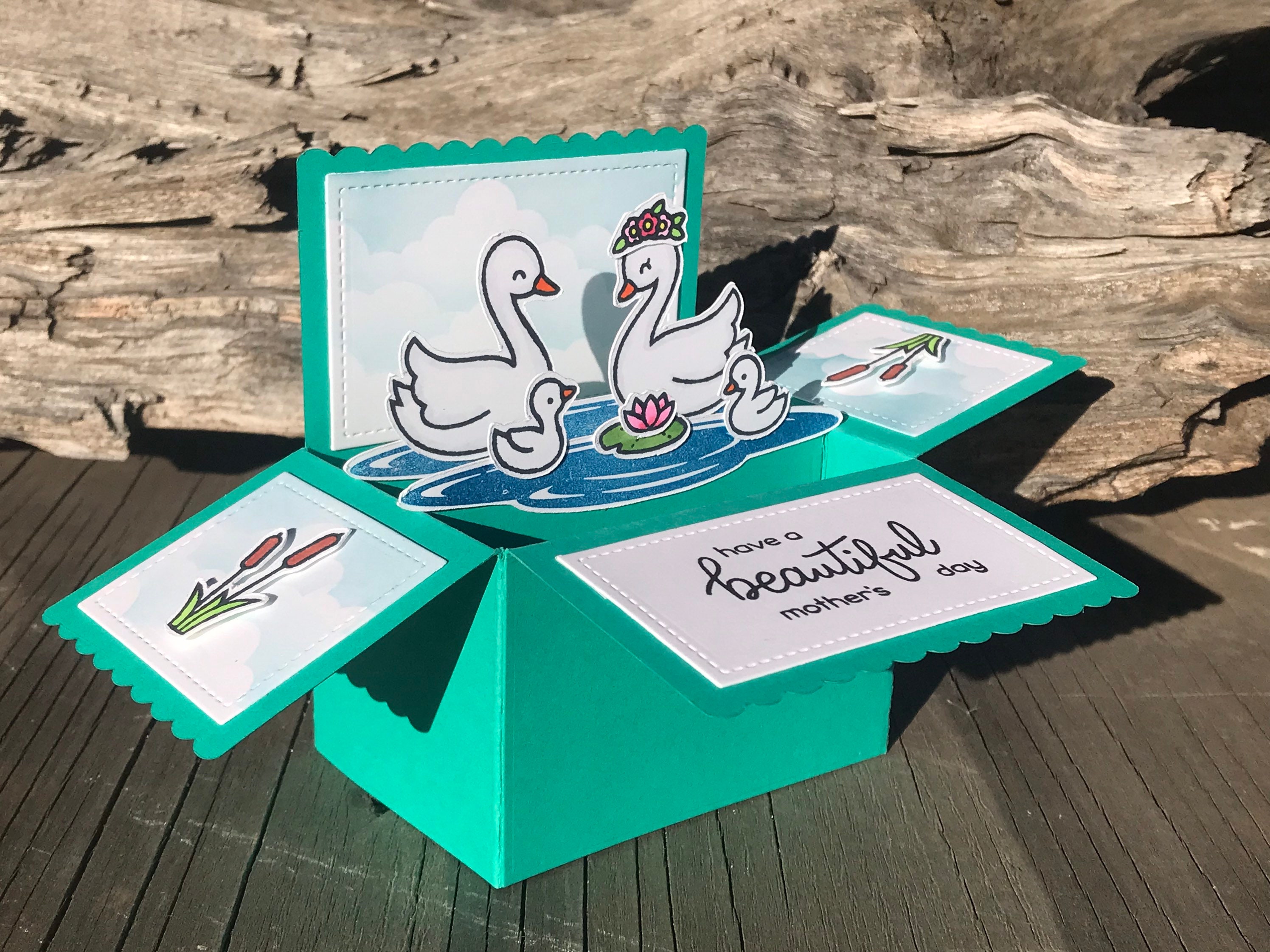Swan Card Pop up Card Card in a Box Handmade Cards Ducks | Etsy