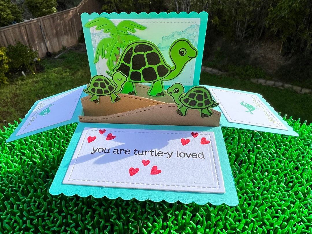 Turtle Card, Pop up Card, Card in a Box, Handmade Cards, Turtle Card in ...