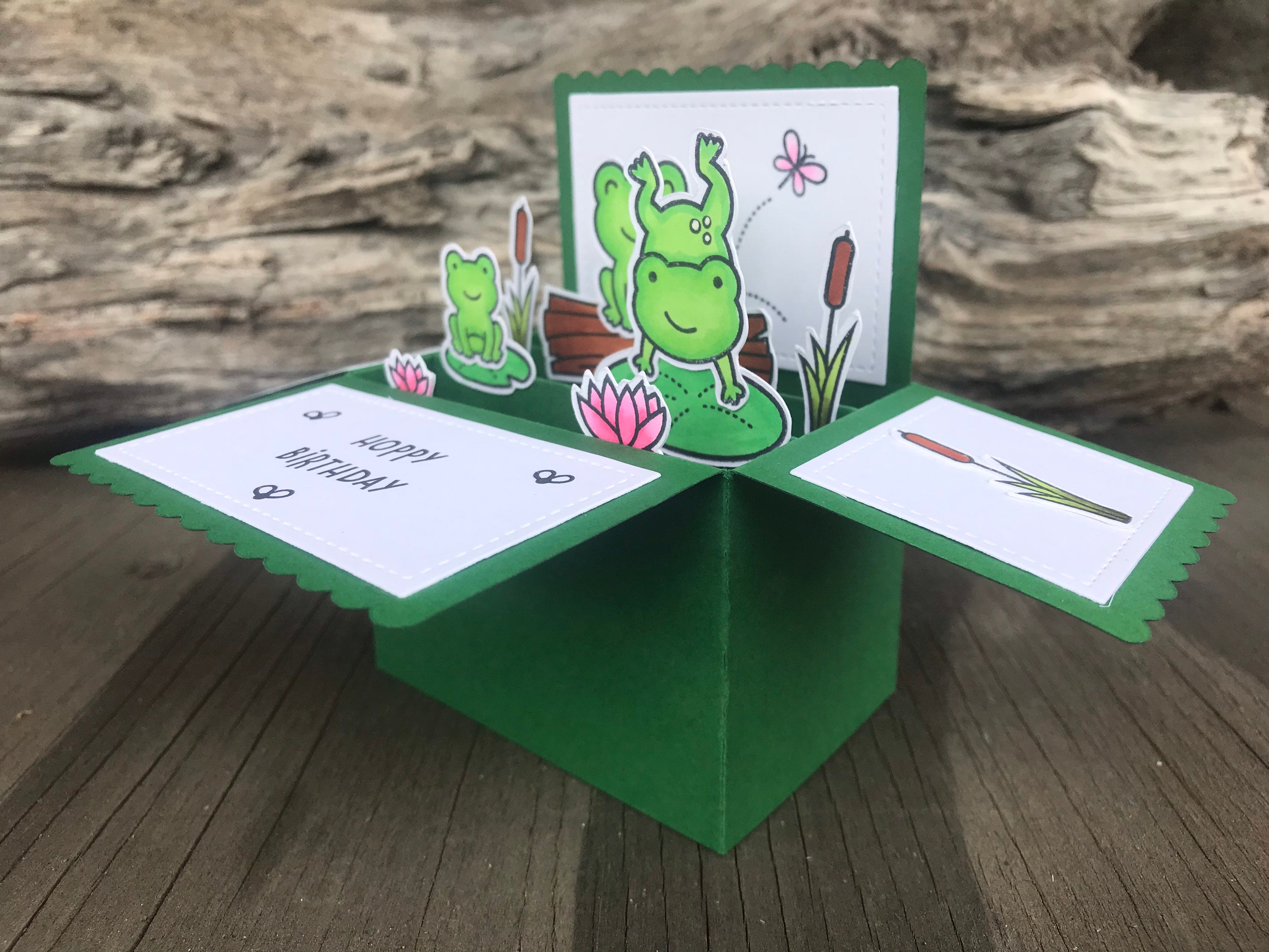 Toad Frog Card in a Box Toads Pop up Card Box Birthday Card | Etsy