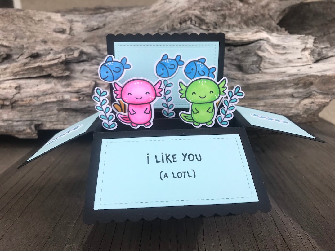Axolotl Card in a Box, Axolotl Pop up Card Box, Birthday Card, Card Pop ...