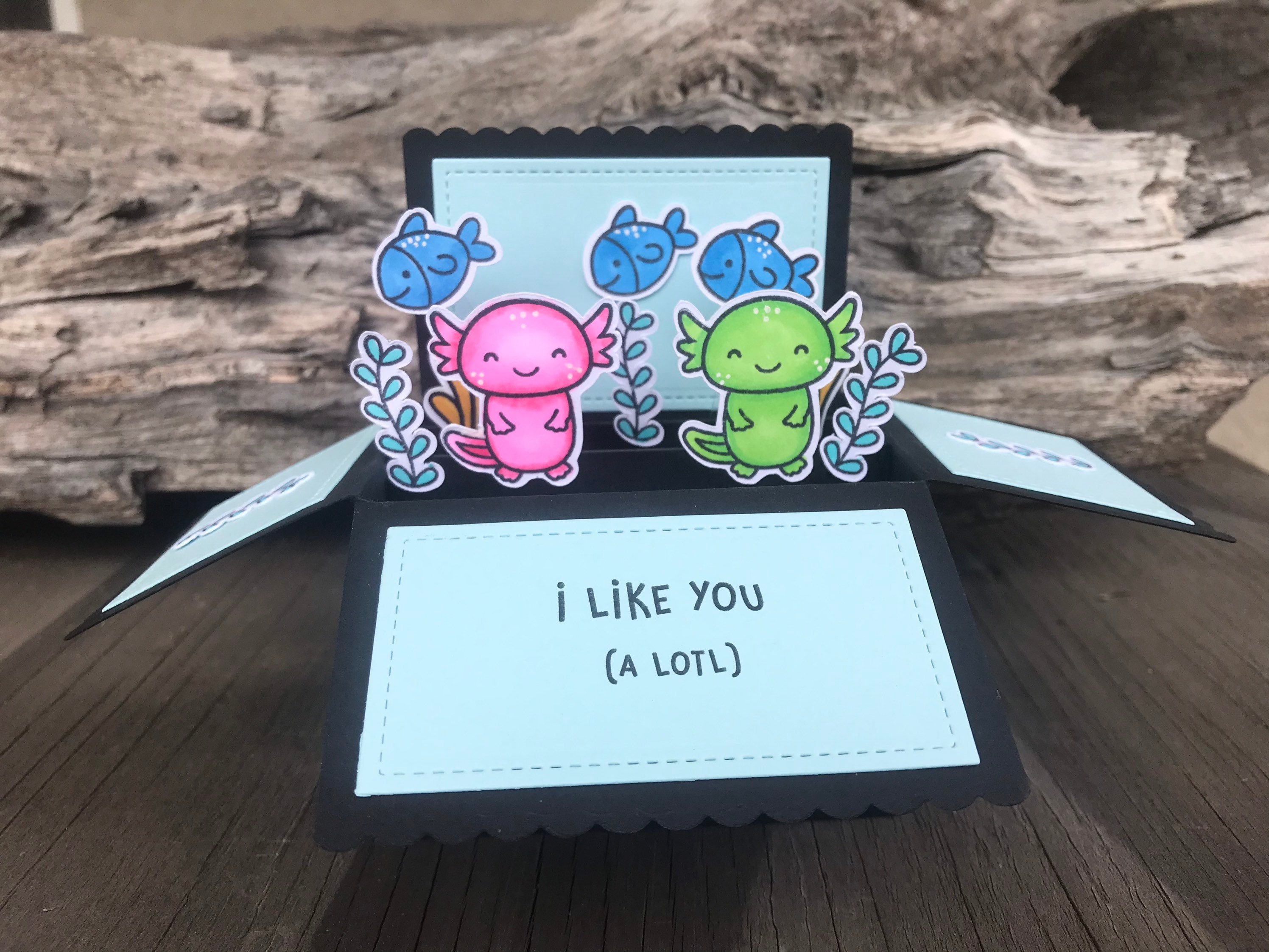 Buy Axolotl Card in a Box Axolotl Pop up Card Box Birthday Card Online ...