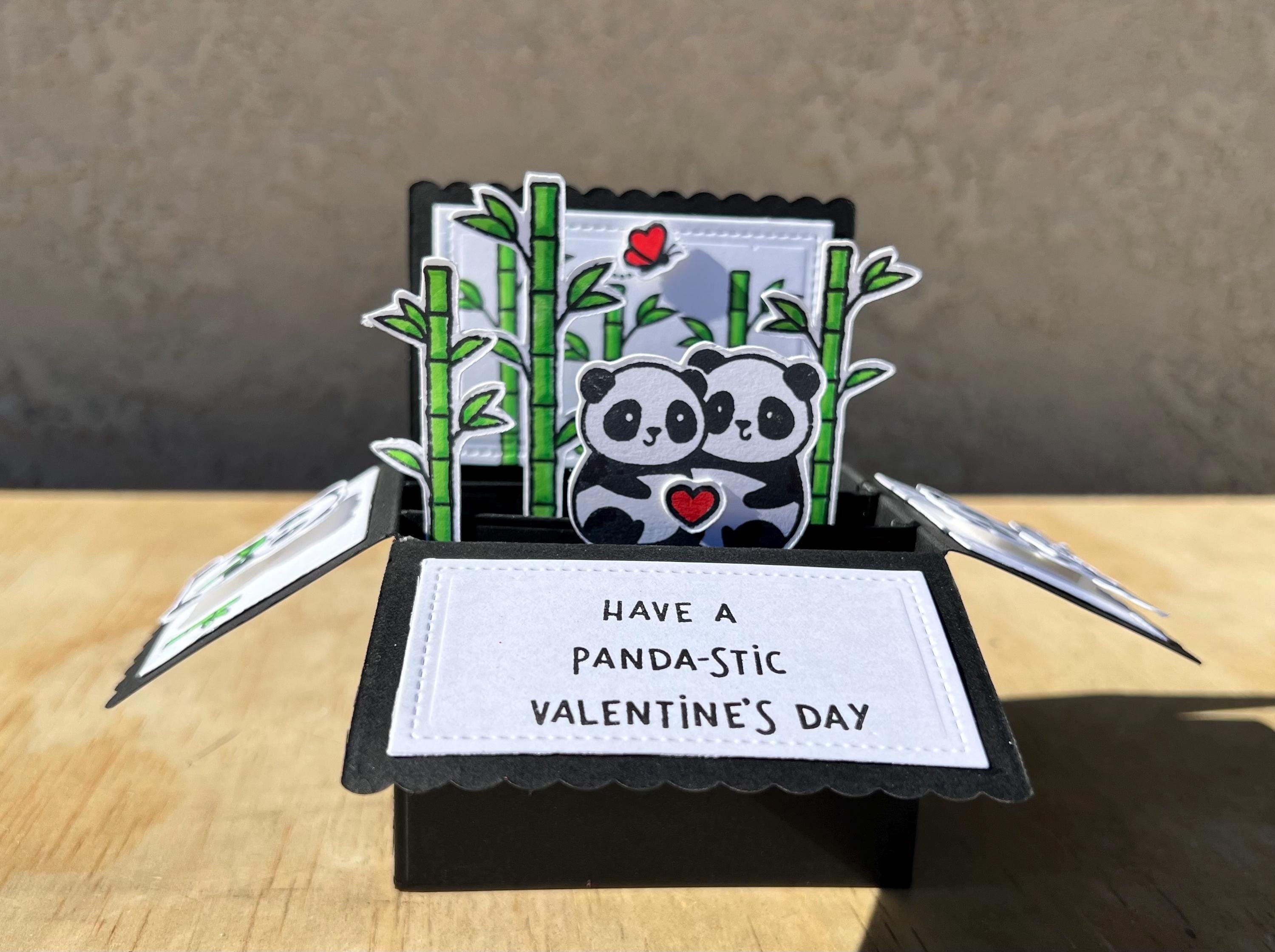 Handmade Panda Pop up Card in a Box: Birthday Anniversary Card - Etsy