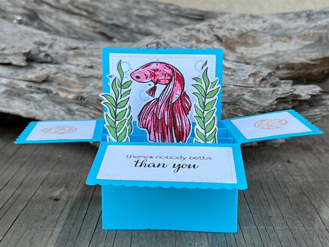 Beta Fish Card in a Box, Pop up Card Box, Chinese Fighting Fish Card ...