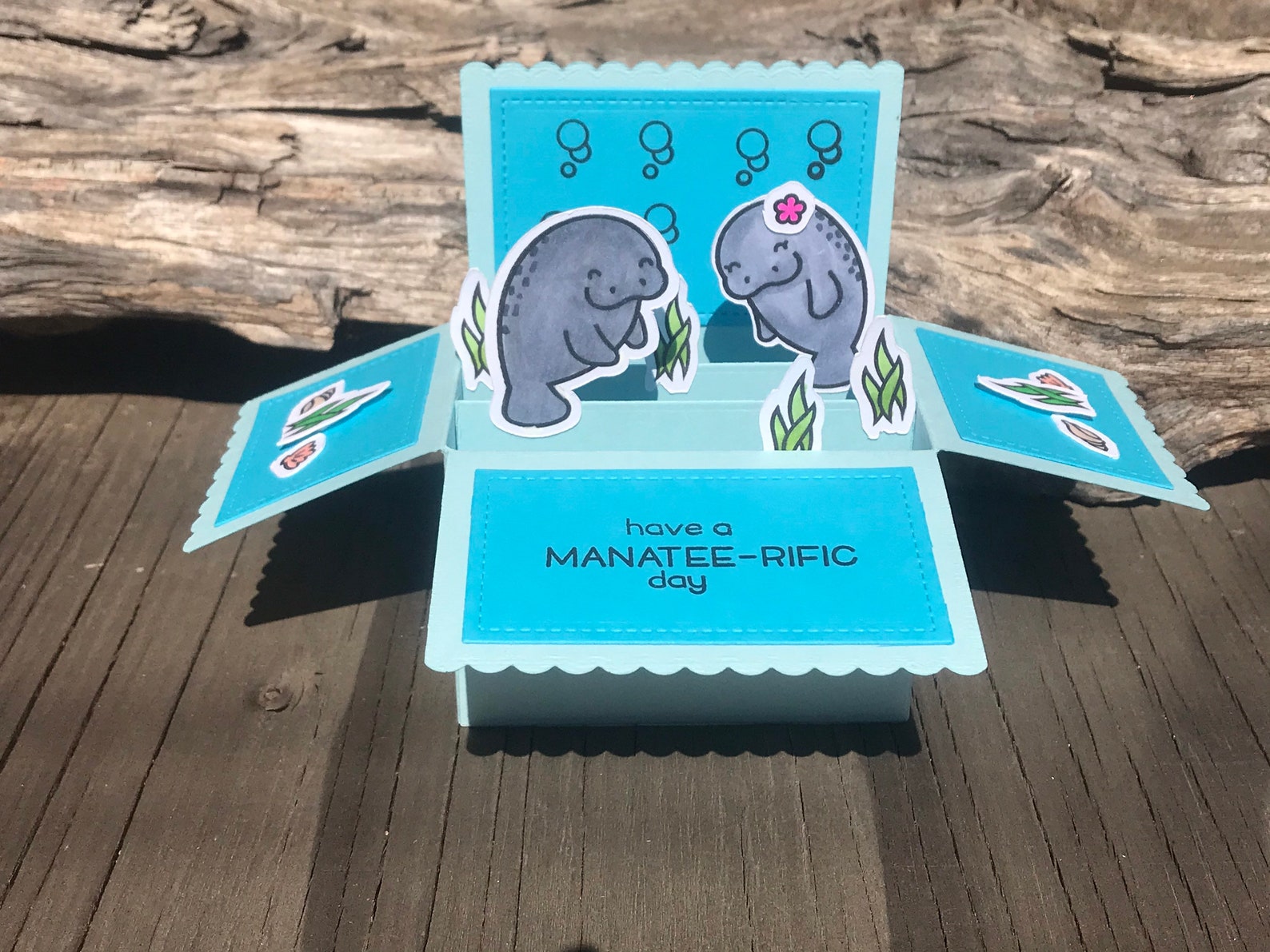 Manatee Card in a Box, Manatee Pop up Card Box, Birthday Card, Card Pop ...