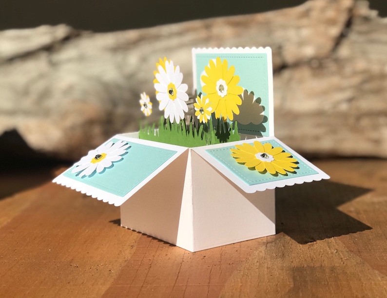 Daisy Card in a Box Pop up Card Box Flower Card Daisy Pop | Etsy