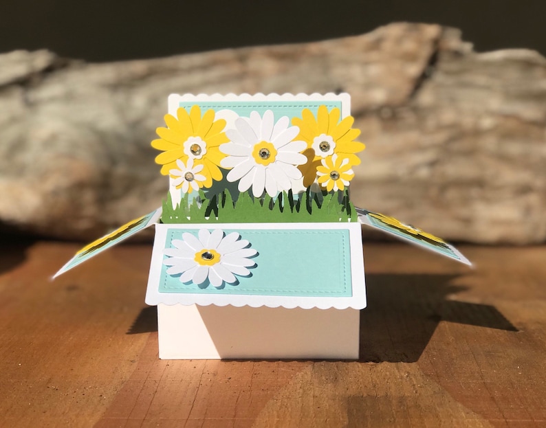 Daisy Card in a Box Pop up Card Box Flower Card Daisy Pop | Etsy