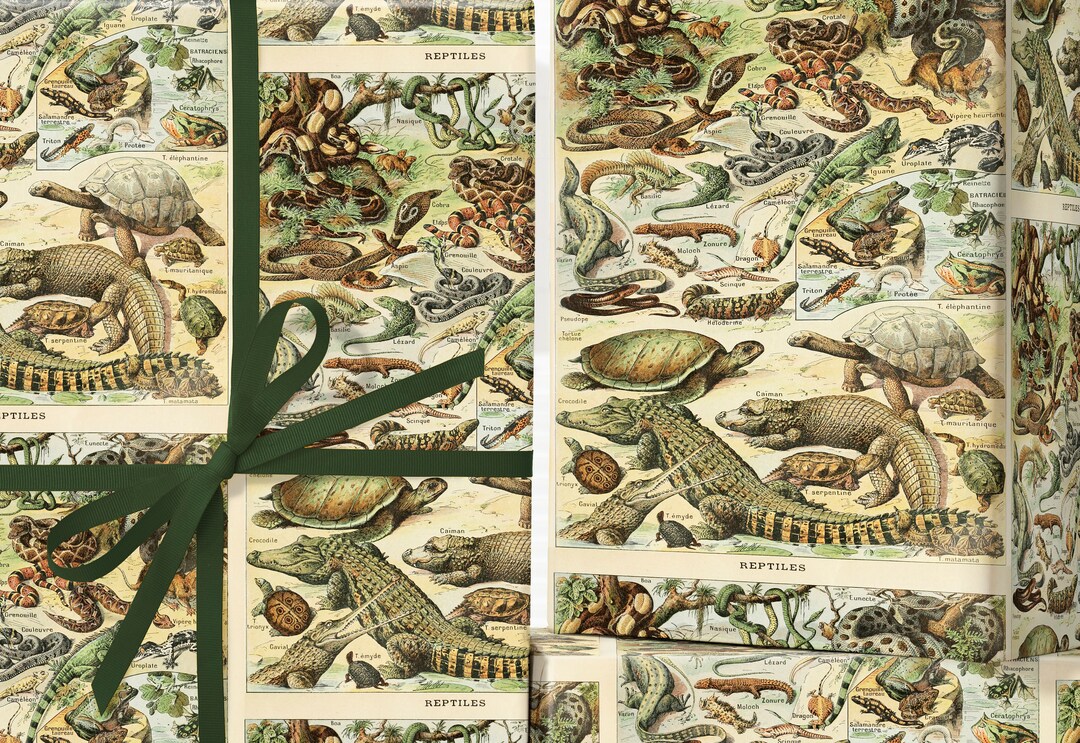 Vintage Reptile Illustration Wrapping Paper Roll, Vintage Gift Wrap ...