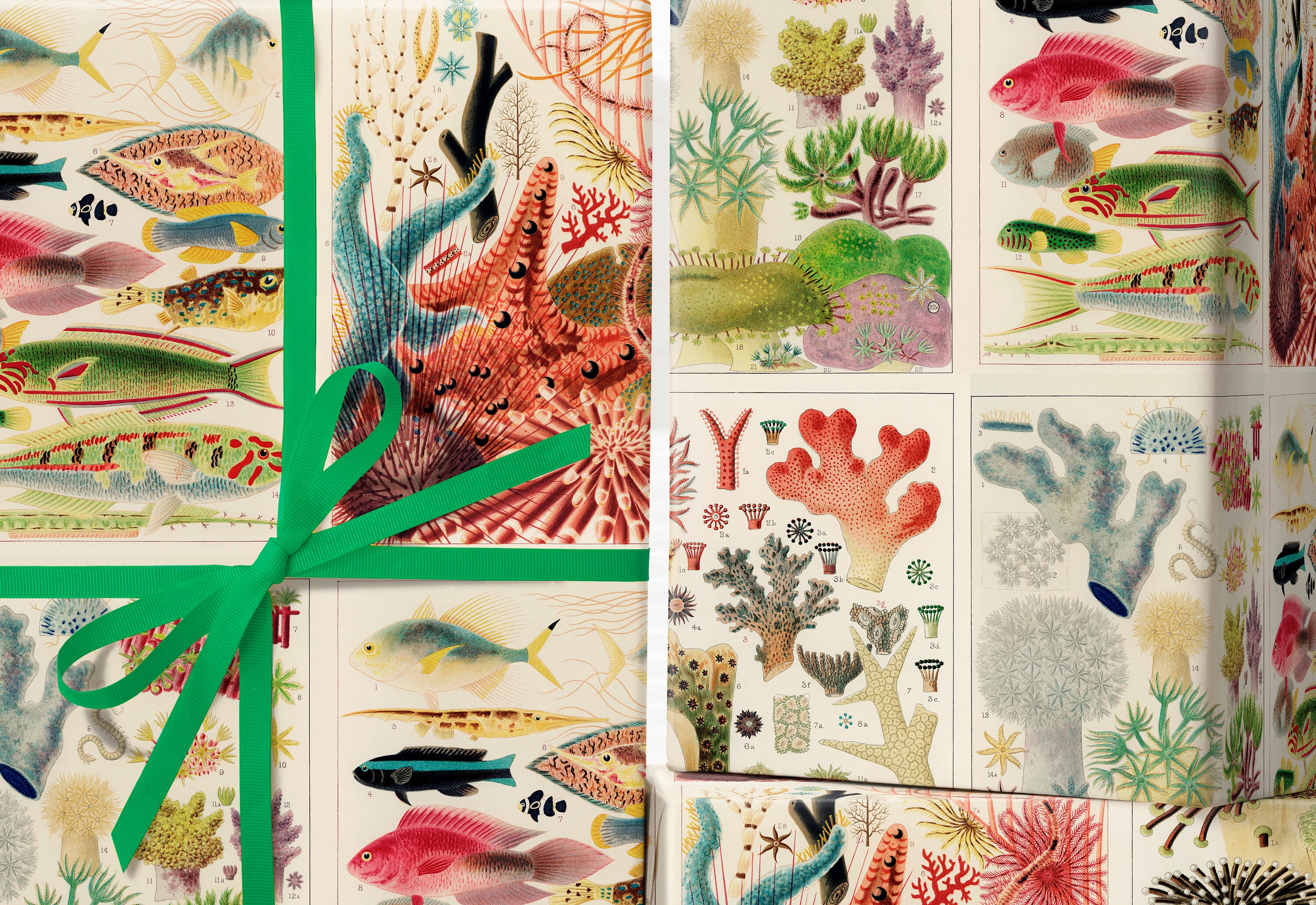 Great Barrier Reef Wrapping Paper Roll; Vintage Coral Gift Wrap; Reef ...