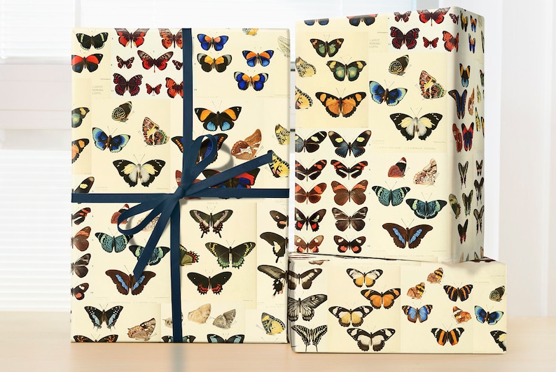 Butterfly Illustration Wrapping Paper Roll; Butterfly Wrapping Paper ...