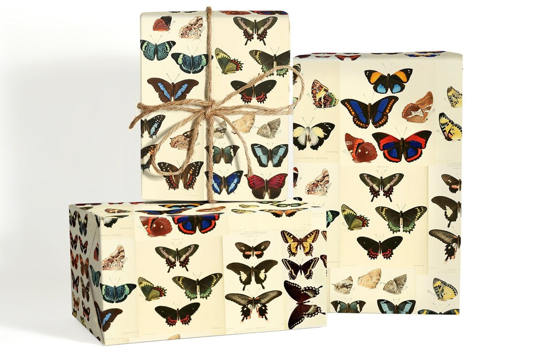 Butterfly Illustration Wrapping Paper Roll; Butterfly Wrapping Paper ...