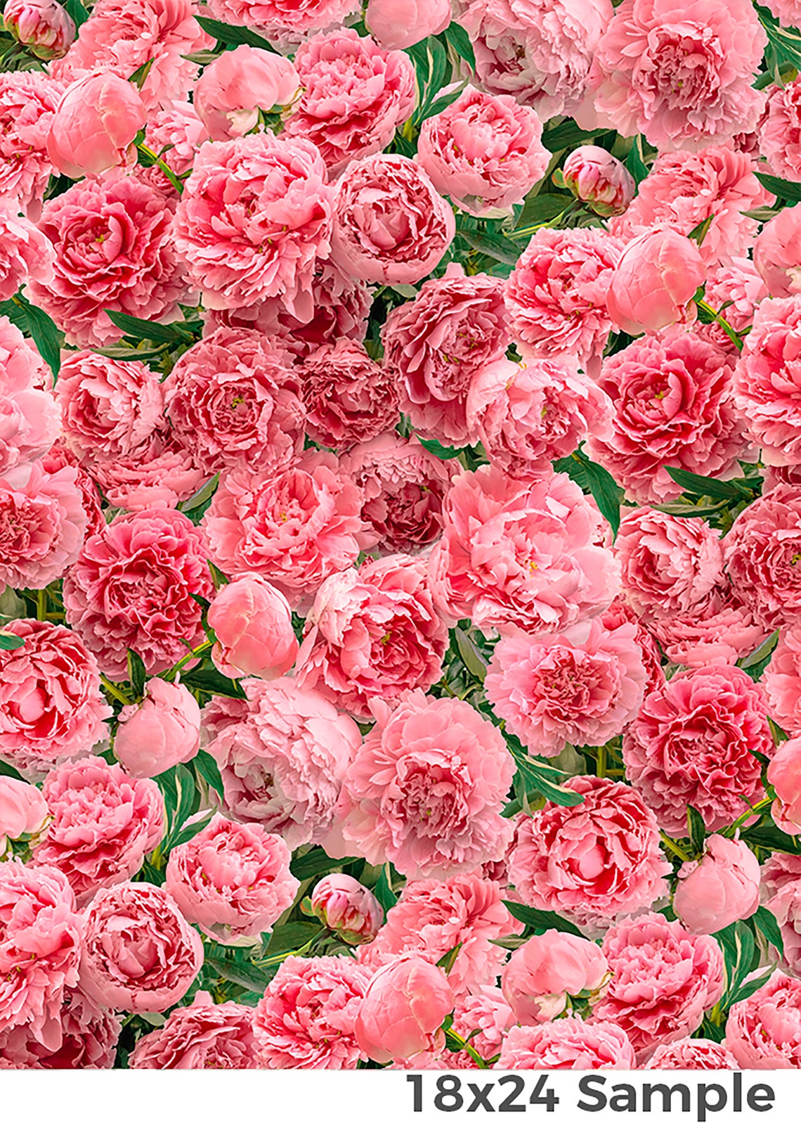 Peony Pattern Wrapping Paper Roll; Pink Flower; Peony Wedding Flower ...