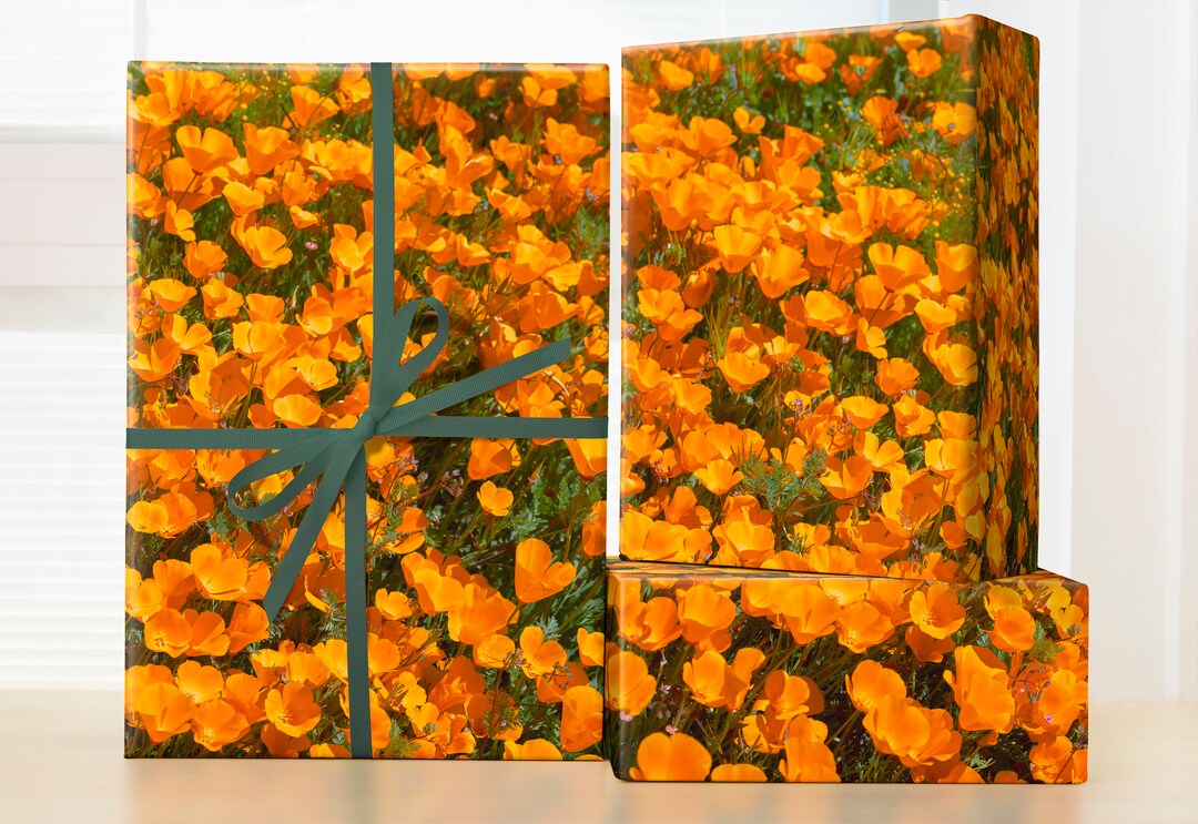 Orange Poppy Flower Wrapping Paper Roll; California Poppy Gift Wrap ...