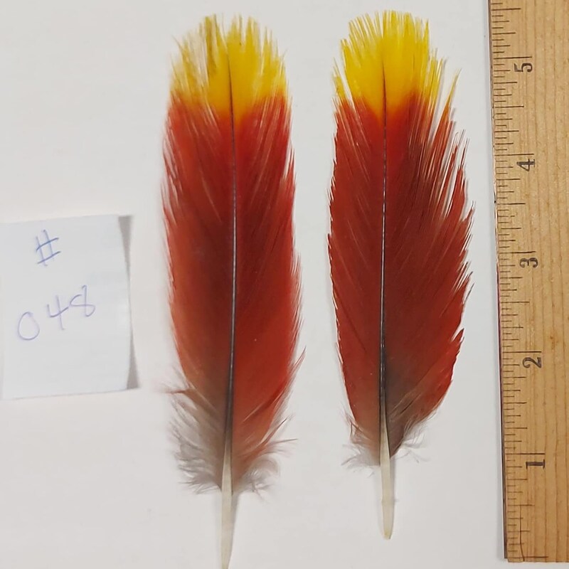 Red Feathers - Etsy