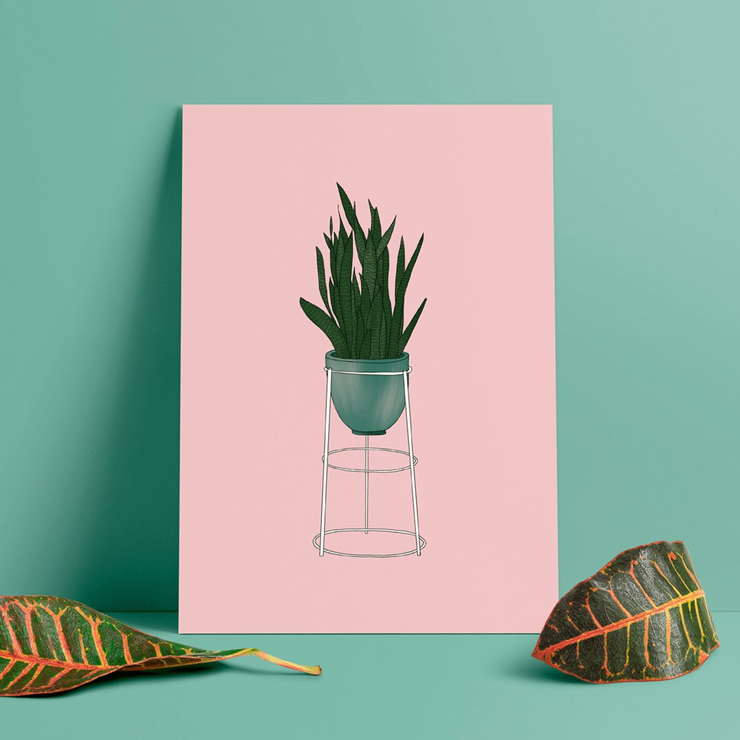 Jamie Plant Illustration Print / A4 / A5 / Wall Art Photo Picture ...