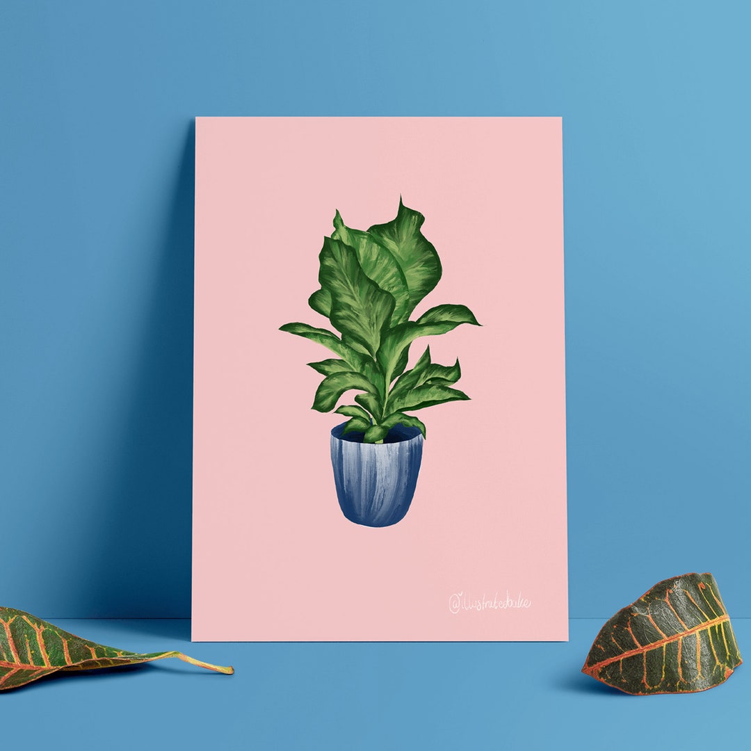 Doris Plant Illustration Print / A4 / A5 / Wall Art Photo Picture ...