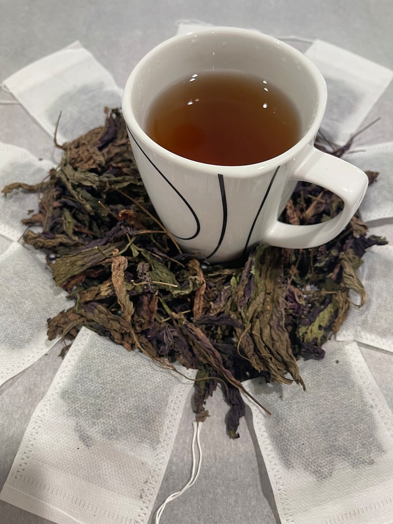 Perilla Frutescens Purple/green Leaf - Etsy