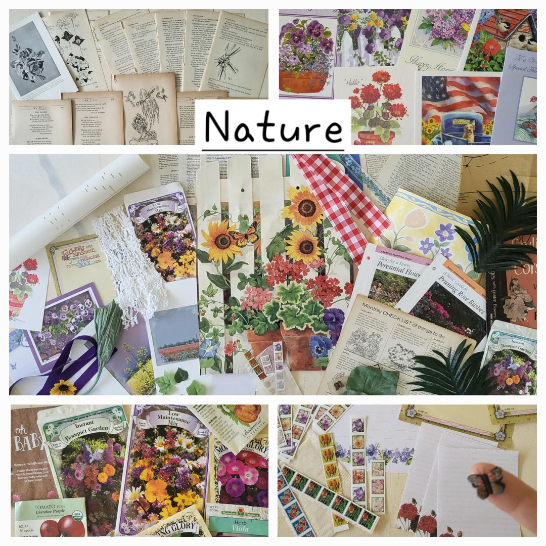Garden Ephemera Pack, 65 Pc Vintage Scrapbook Junk Journal Kit, Nature ...