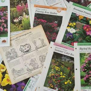 Garden Ephemera Pack, 65 Pc Vintage Scrapbook Junk Journal Kit, Nature ...
