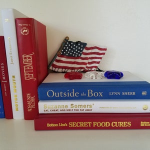 Red White & Blue Books Curated Decorative Bundle for Library, Home ...