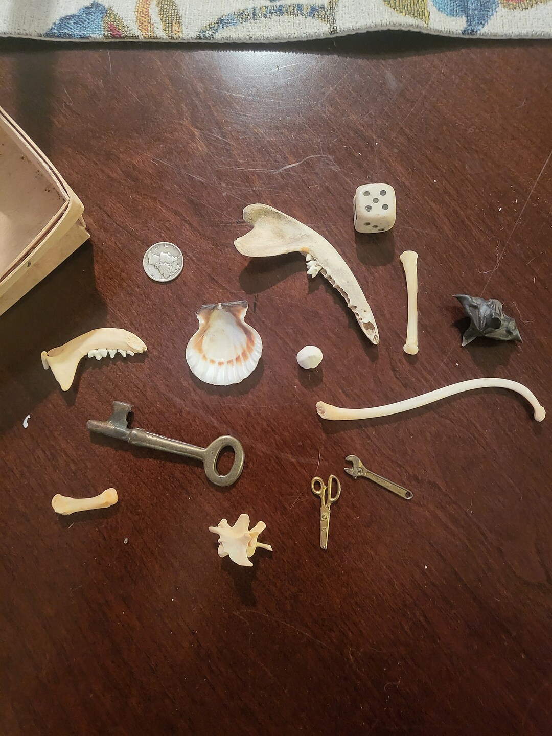 Bone Divination or Osteomancy Set for Throwing. 1 - Etsy