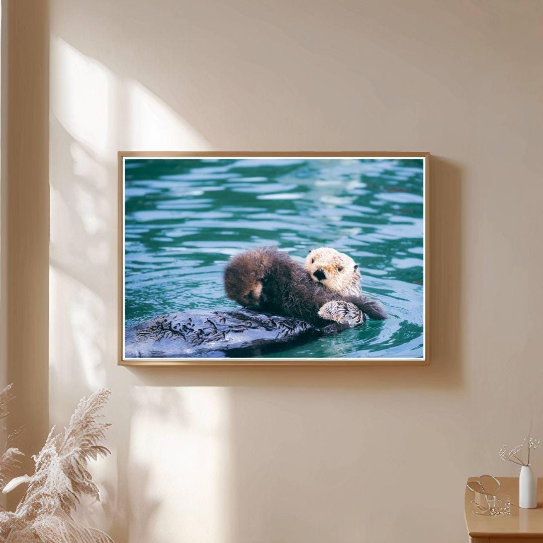 Sea Otter and Pup Photo Print, Morro Bay California Wildlife ...