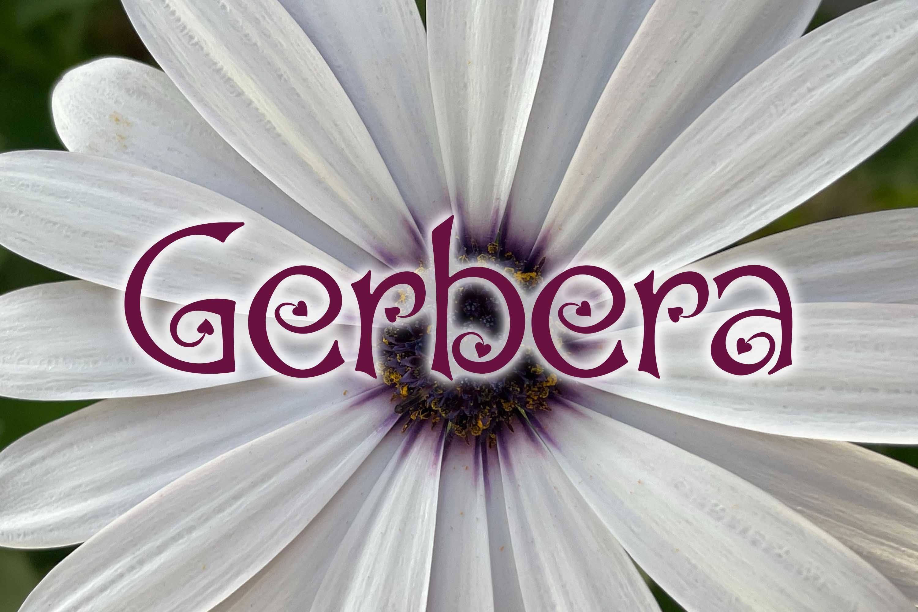 Kupido Stencil Font, Hand Crafted Typeface, Commercial Use, TTF, OTF ...