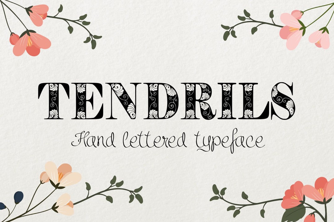 Tendrils Font: Hand-drawn Typeface (TTF, OTF) - Commercial License - Etsy