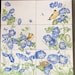 Custom Hand Painted Tiles Including Kitchen Back Splashes, Bathroom ...