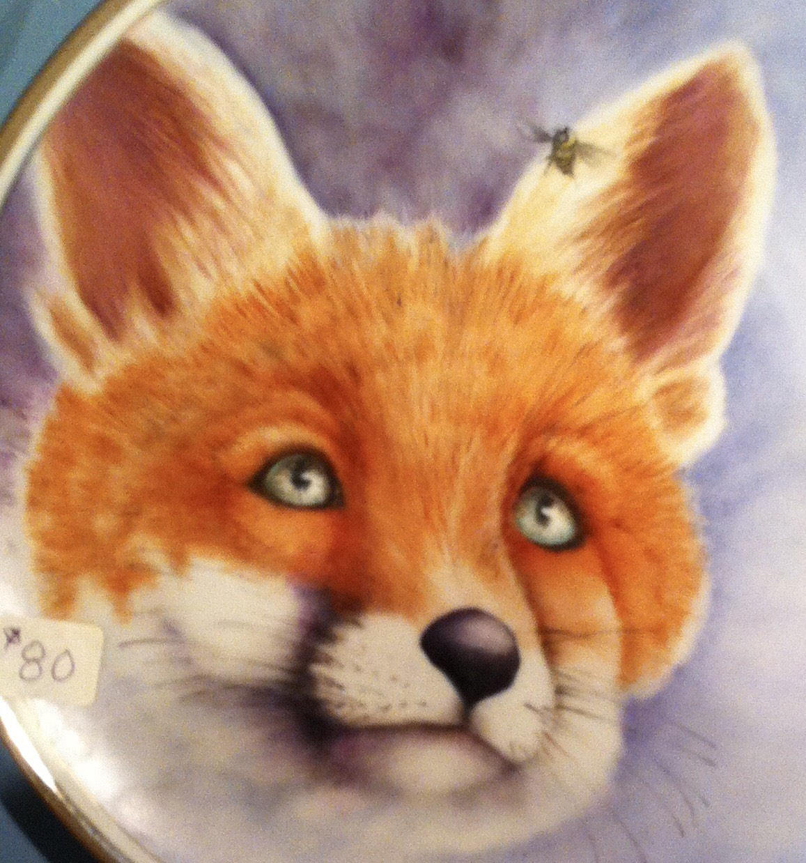 Cute Curious Fox Watching a Bumble Bee Fly by on a Porcelain Plate by ...