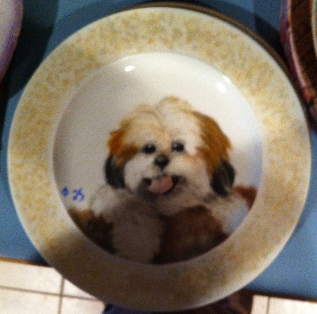 Playful Puppy on a 10 Inch Porcelain Plate by Featured Artist Mitzi ...