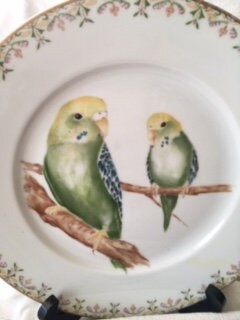 Two Plates Handpainted With Parakeets - Etsy