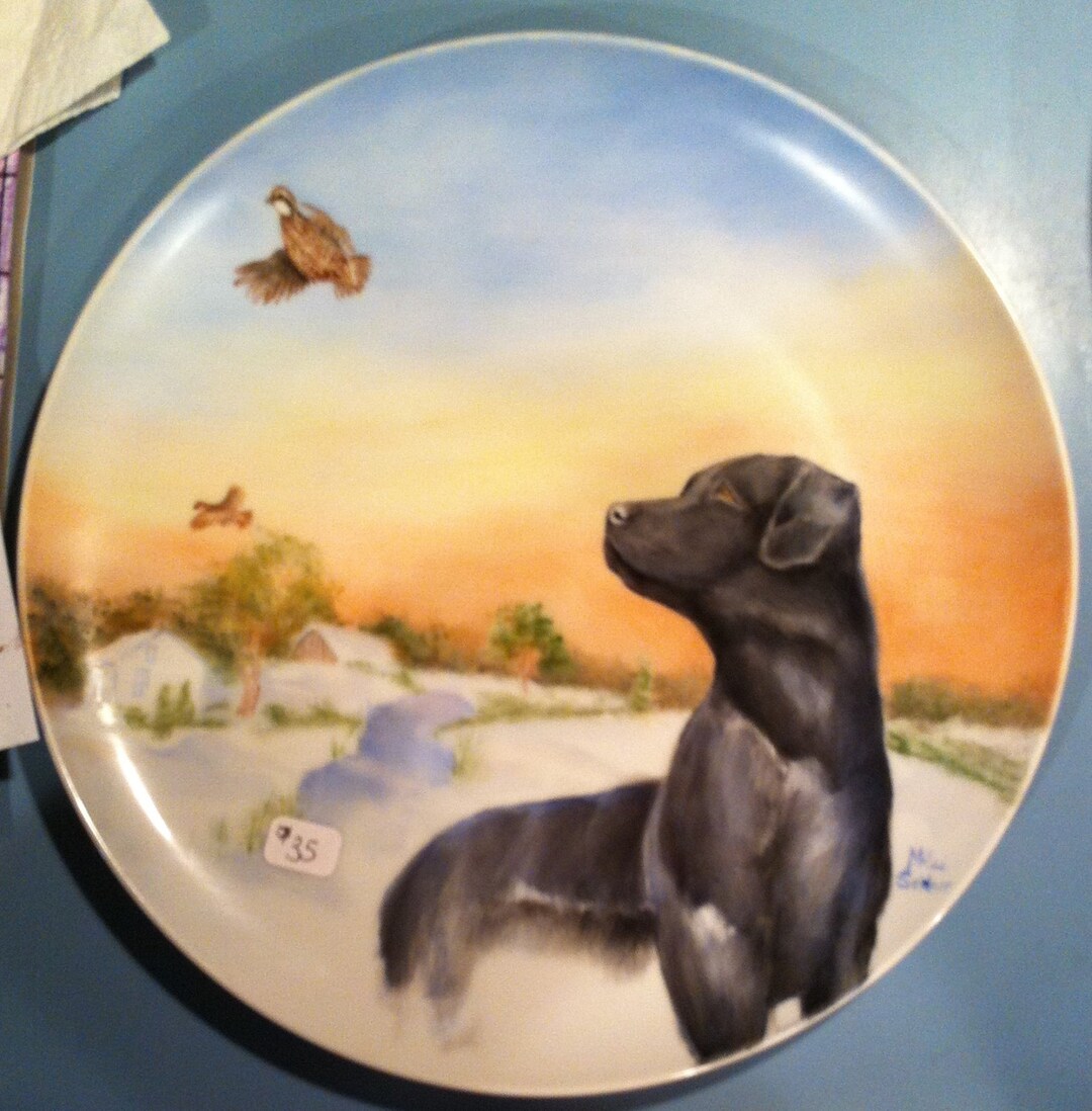 Black Labrador Retriever in a Snowy Field Lifting a Grouse on a ...