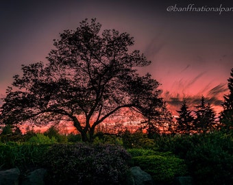 Sunset Photography Print, Fine Art Photography Print, Night Shimmer on ...