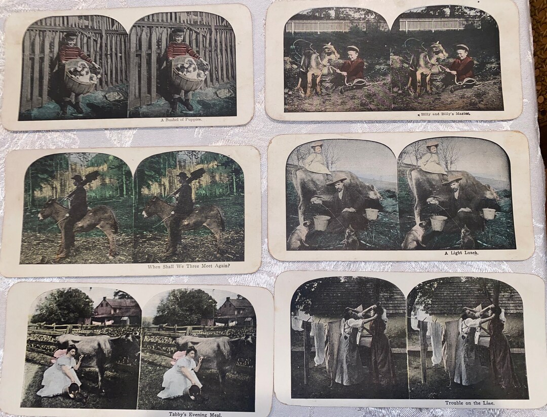 6 Antique Stereoscope Cards 1890s Stereograph Various Scenes Milking ...