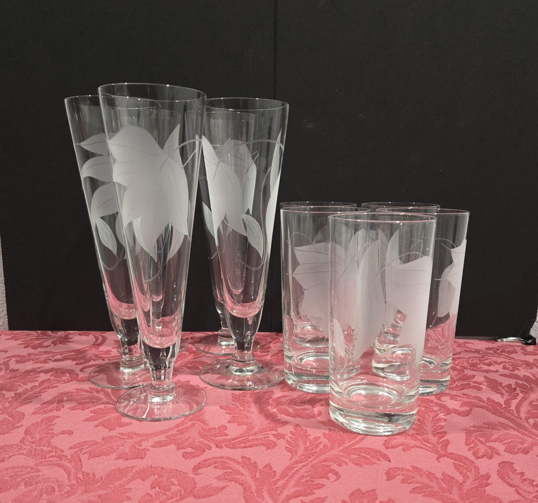 Etched Juice Glass Etched Pilsner Glass Set of 5 Mcbride MCM "cameo ...